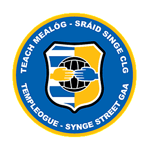 Templeogue Synge Street - Kevins